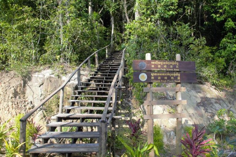 The best travel guide for a visit to Ream National Park